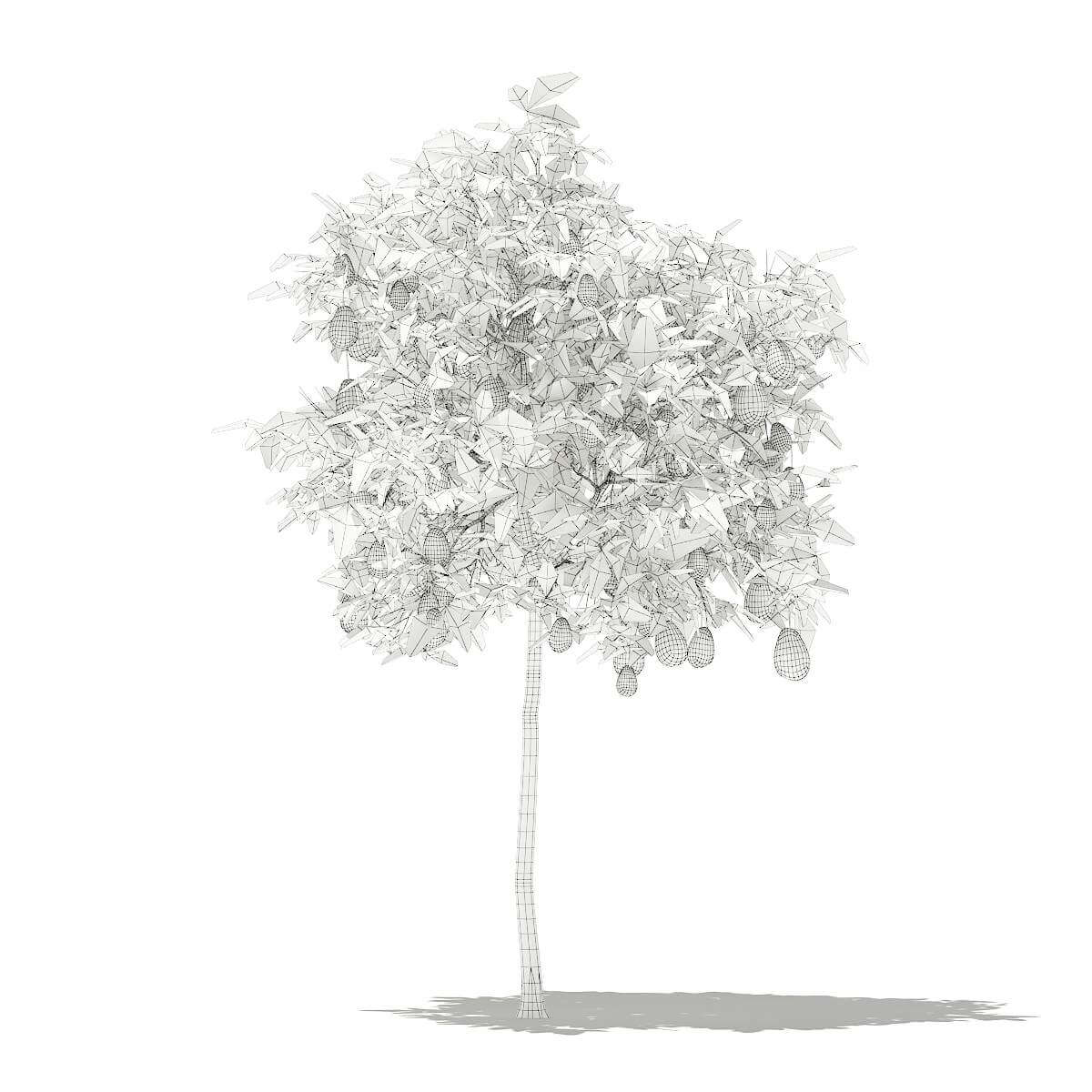 Avocado Tree with Fruits 1.5m - 3D Model by cgaxis