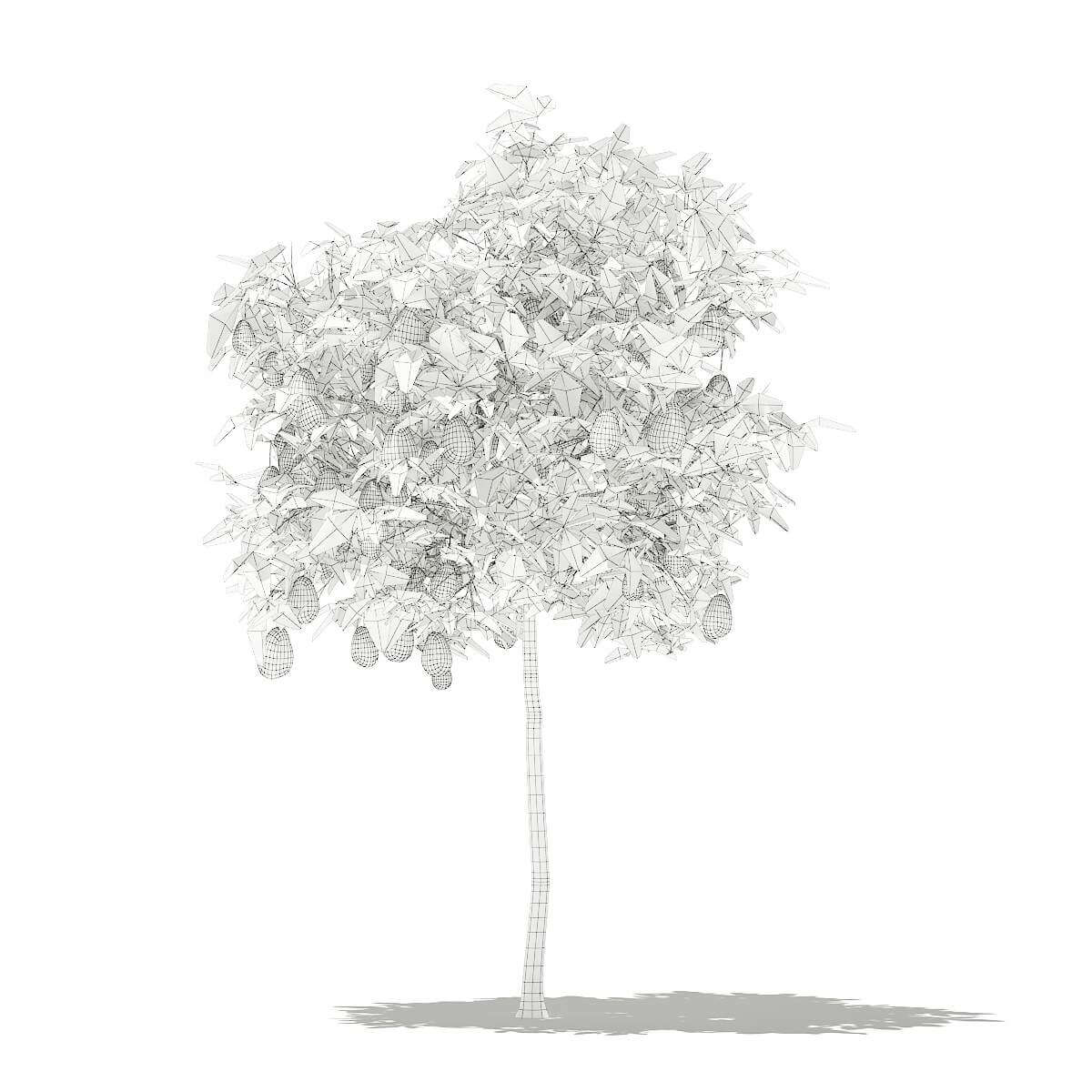 Avocado Tree with Fruits 1.5m - 3D Model by cgaxis