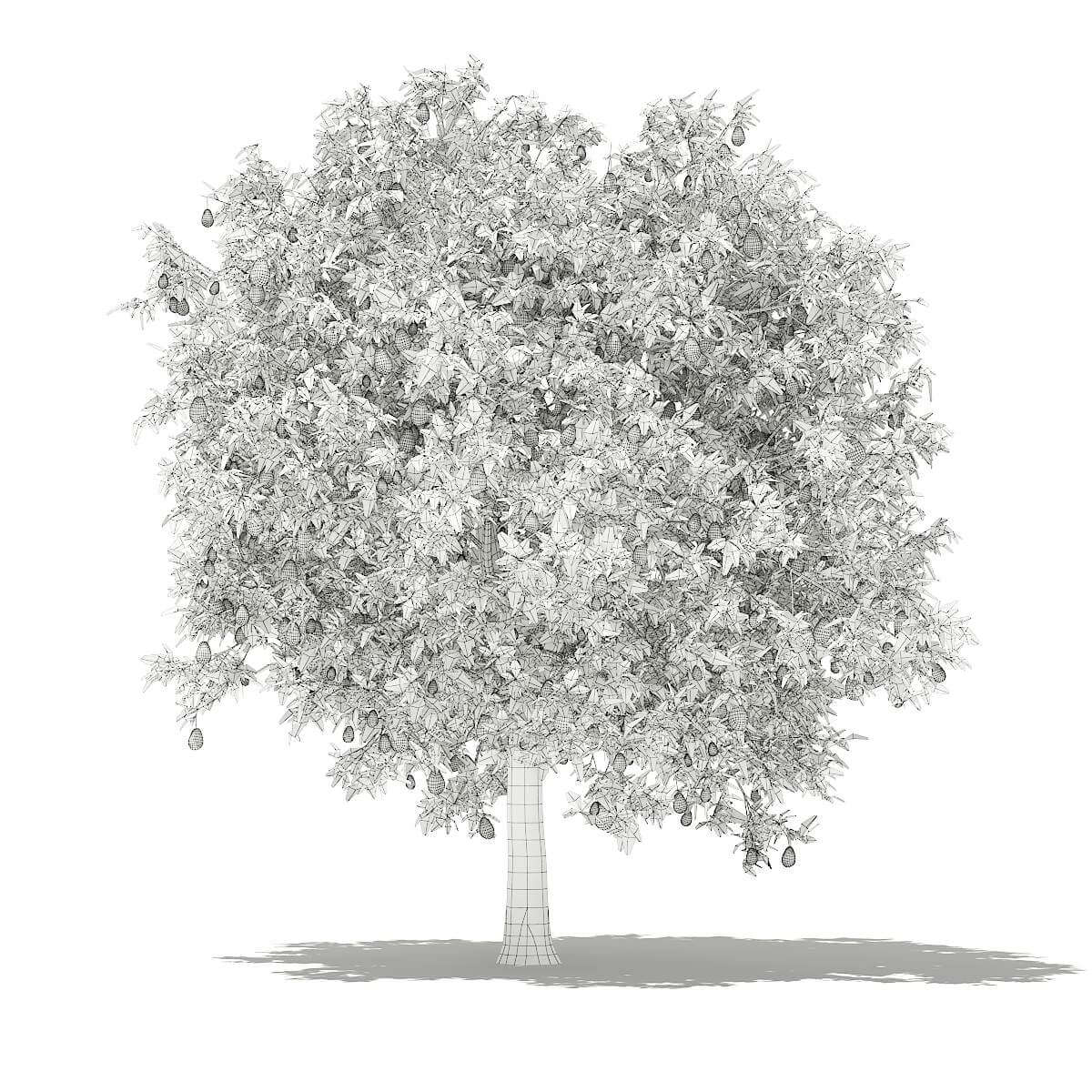 Avocado Tree with Fruits 3.8m - 3D Model by cgaxis