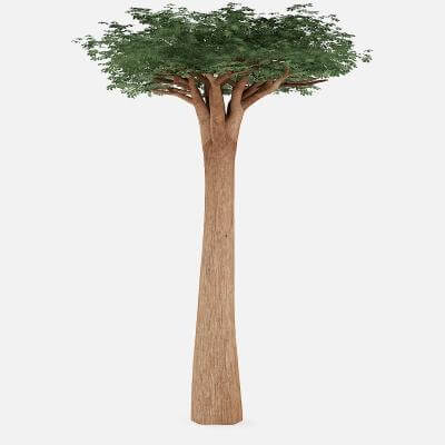 Baobab Tree - 3D Model by cgaxis