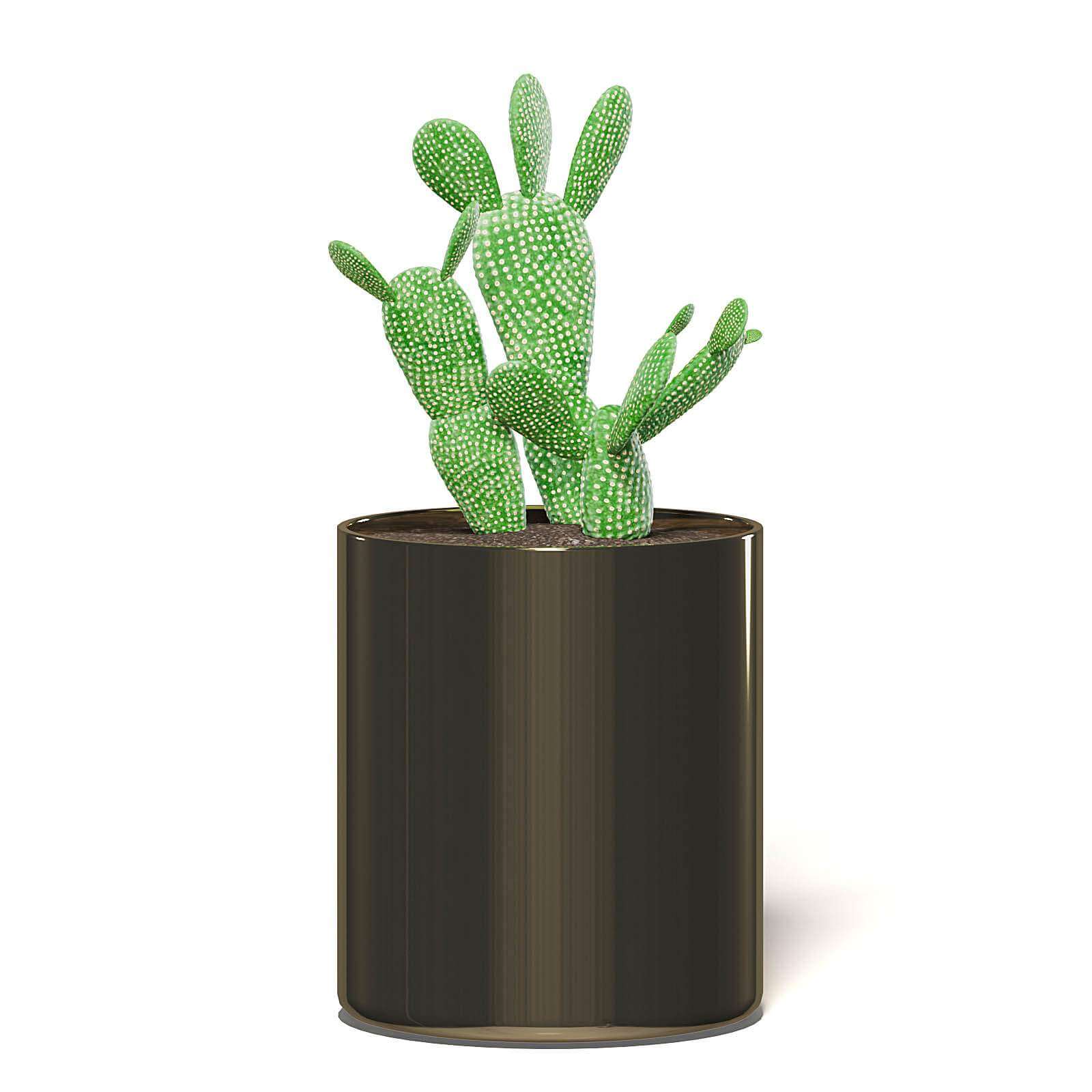 Cactus in Metal Pot - 3D Model by cgaxis