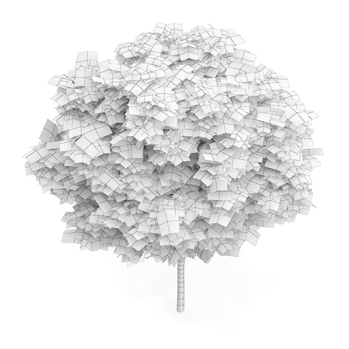 Catalpa (Catalpa Scop.) 6.4m - 3D Model by cgaxis