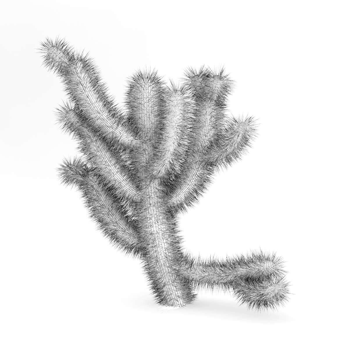Cholla Cactus - 3D Model by cgaxis