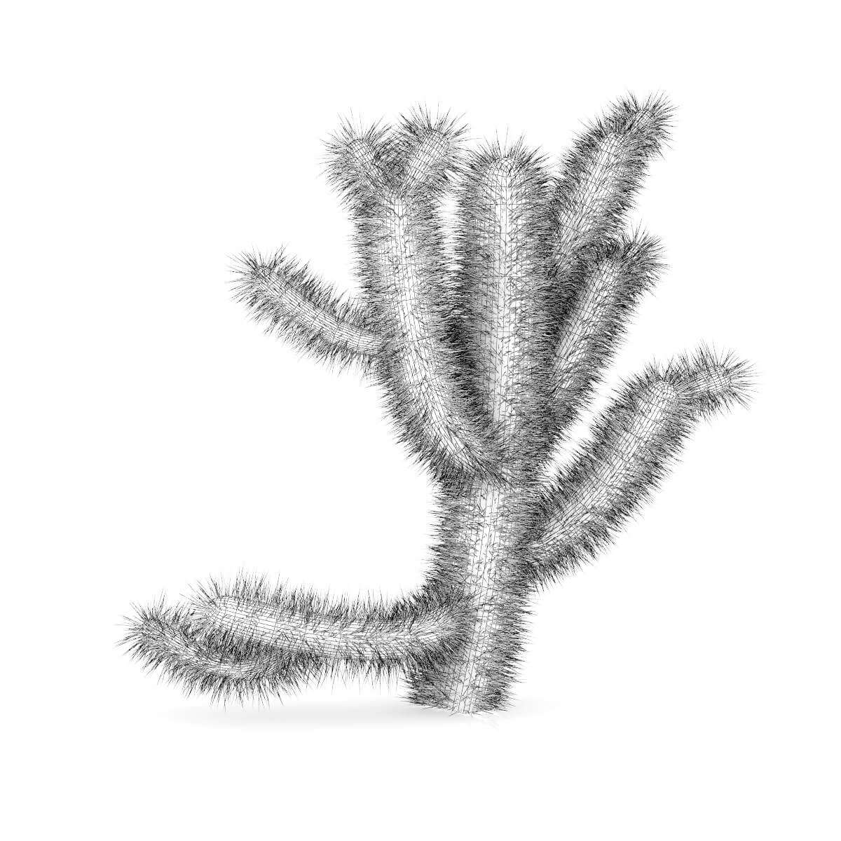 Cholla Cactus - 3D Model by cgaxis