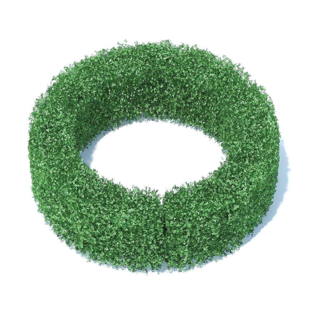 Circle Shaped Hedge - 3D Model by cgaxis