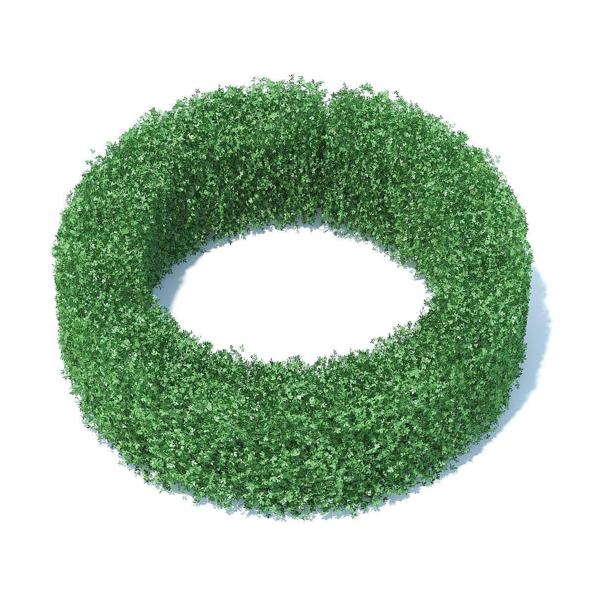 Circle Shaped Hedge - 3D Model by cgaxis