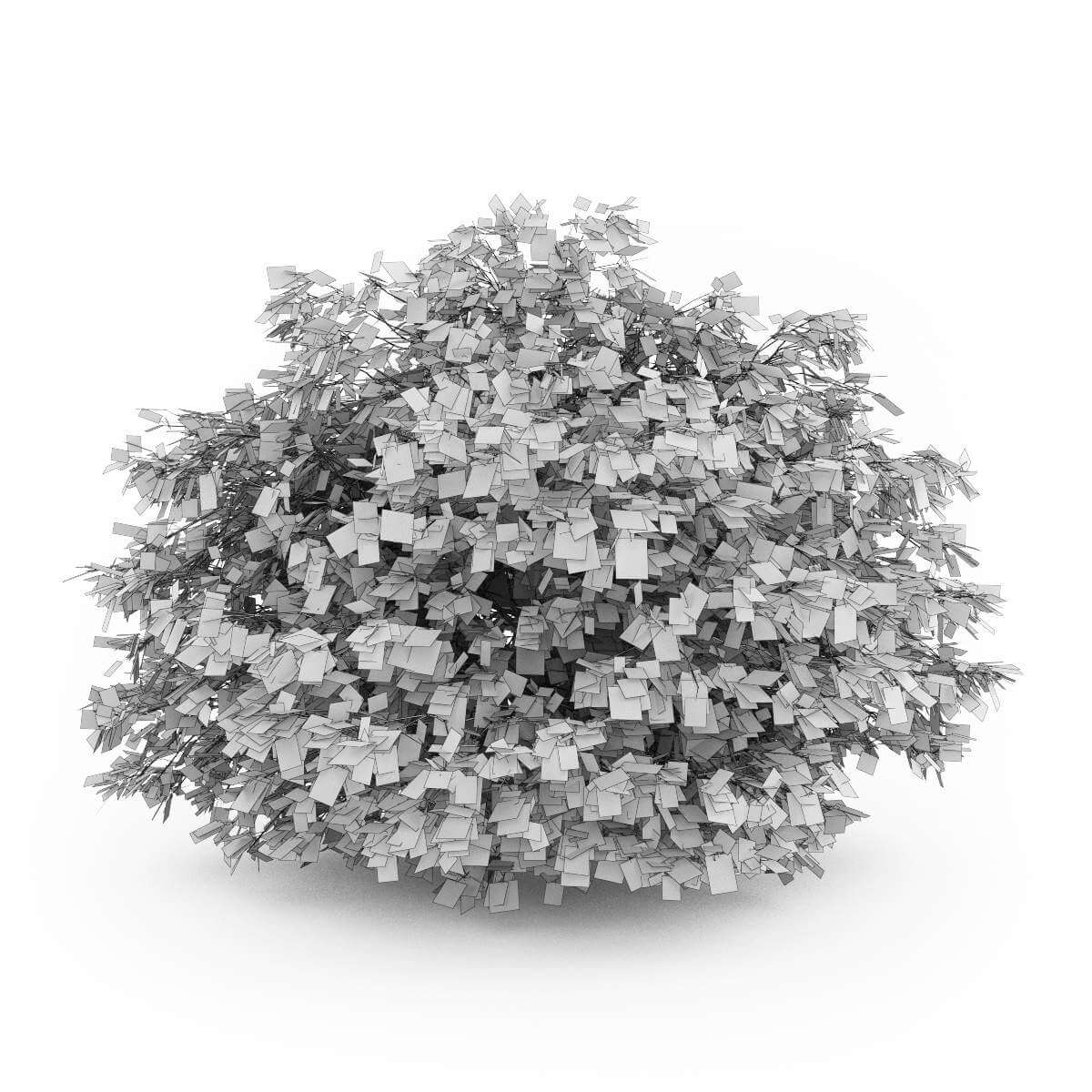 Common Hazel - 3D Model by cgaxis