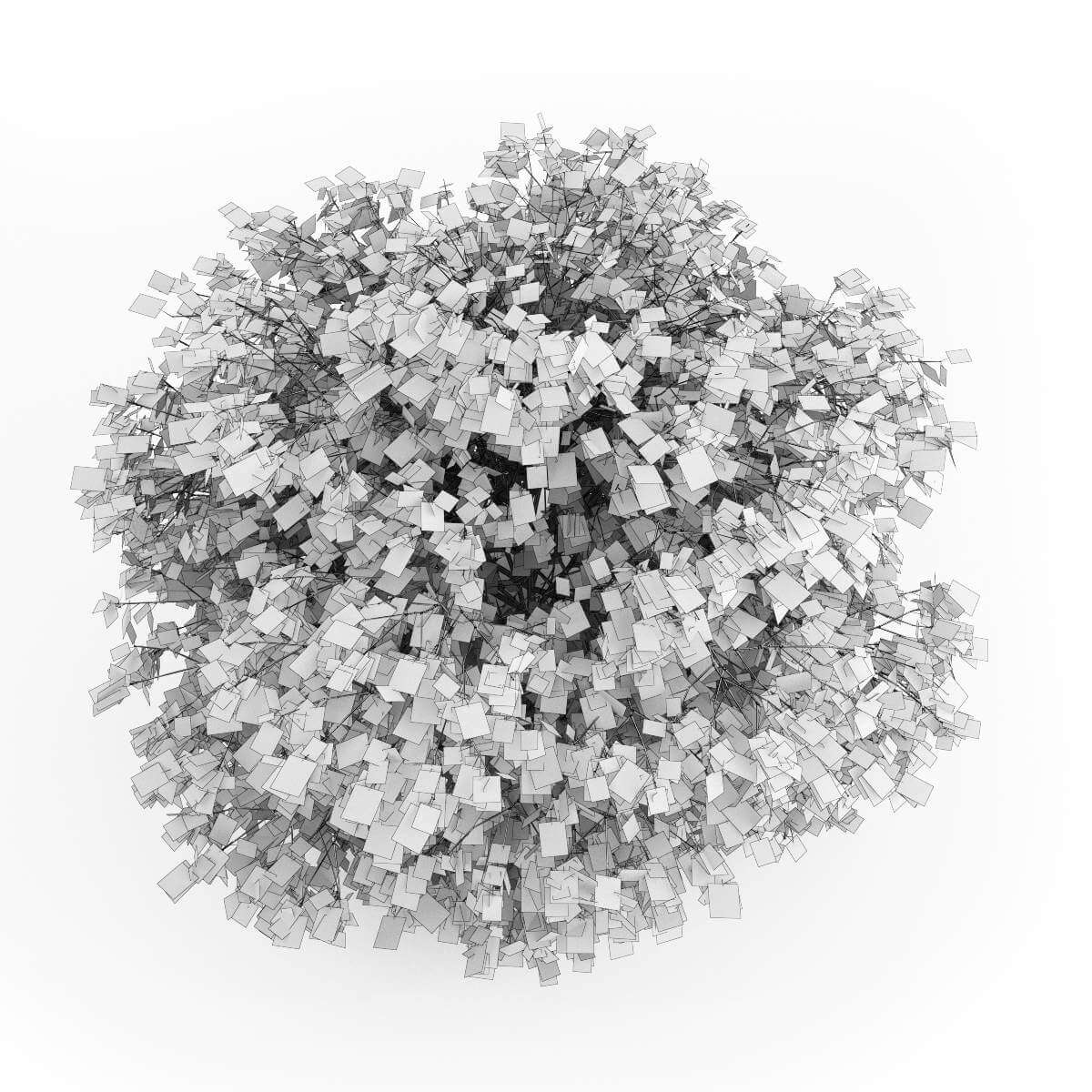 Common Hazel - 3D Model by cgaxis