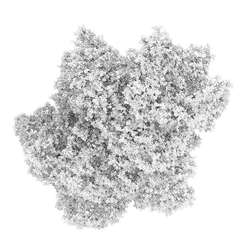 Common Lime 8M - 3D Model by cgaxis