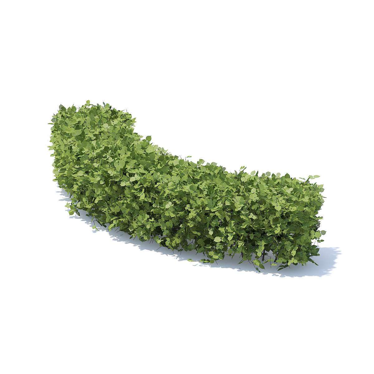 Curved Hedge - 3D Model by cgaxis