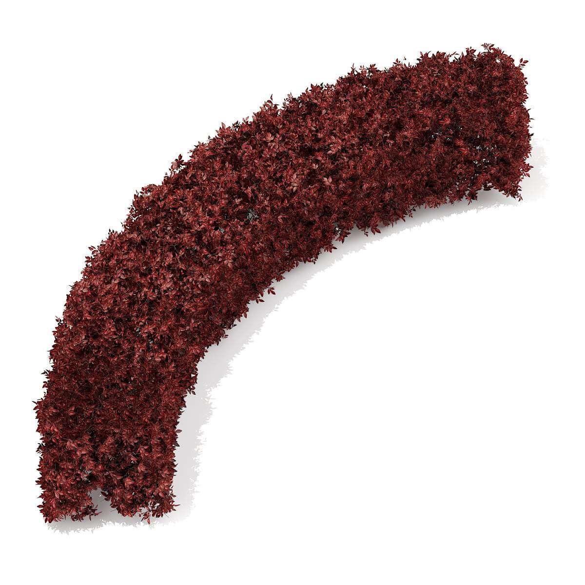 Curved Red Hedge - 3D Model by cgaxis