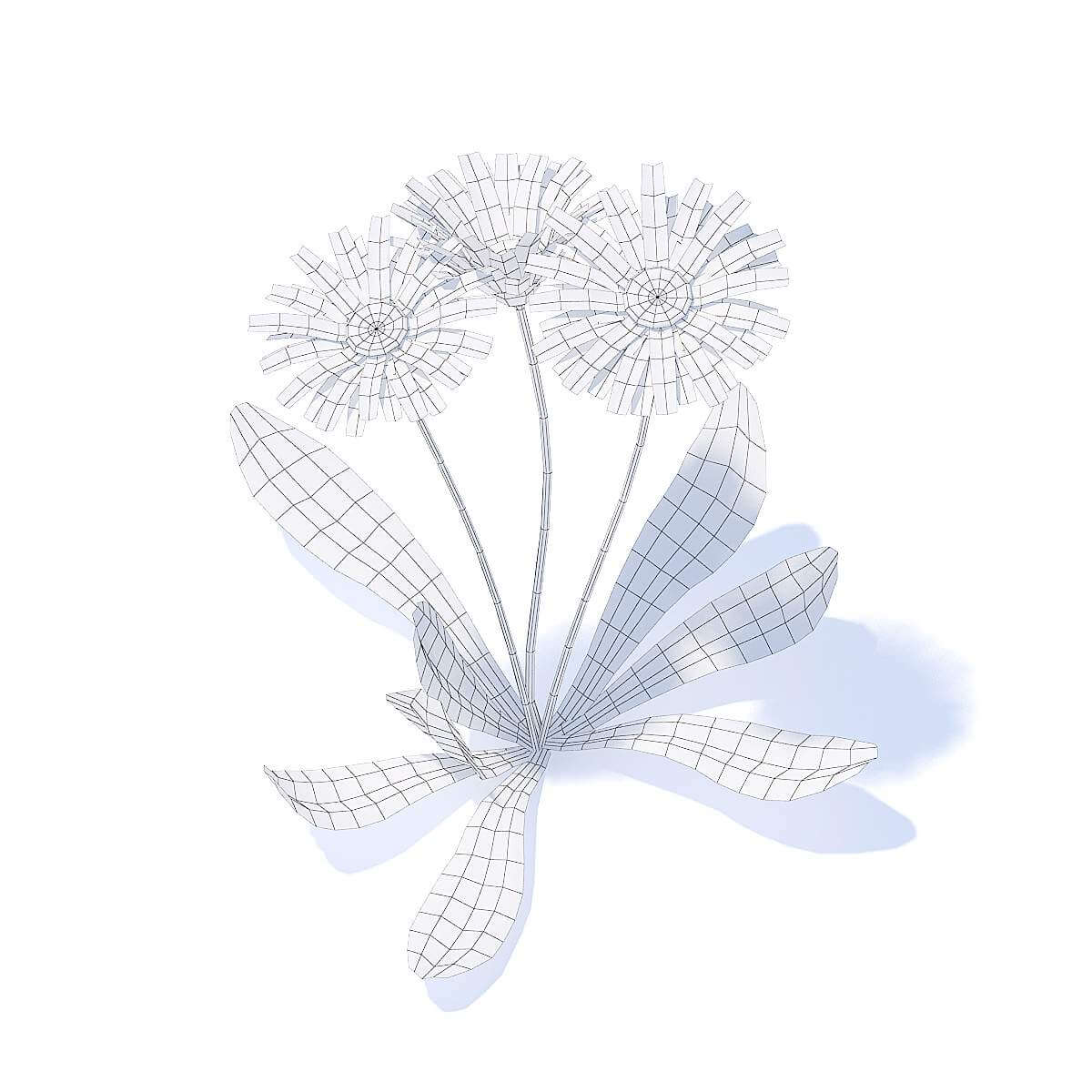 Daisies - 3D Model by cgaxis