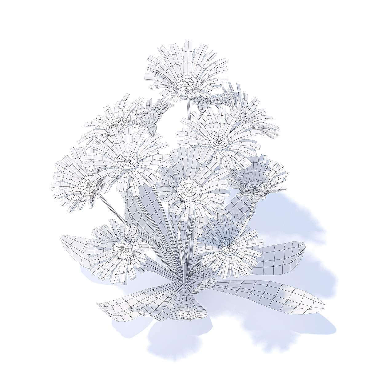 Daisies - 3D Model by cgaxis