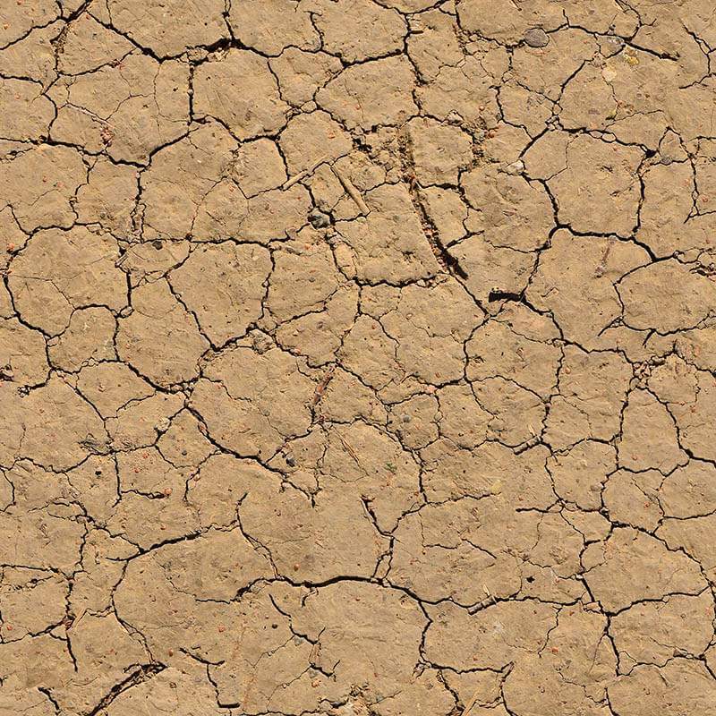 Dry Cracked Dirt PBR Texture by cgaxis