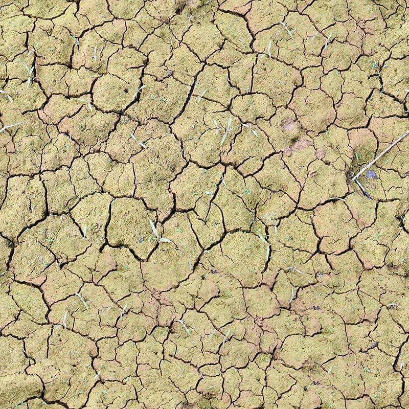 Dry Cracked Dirt PBR Texture by cgaxis