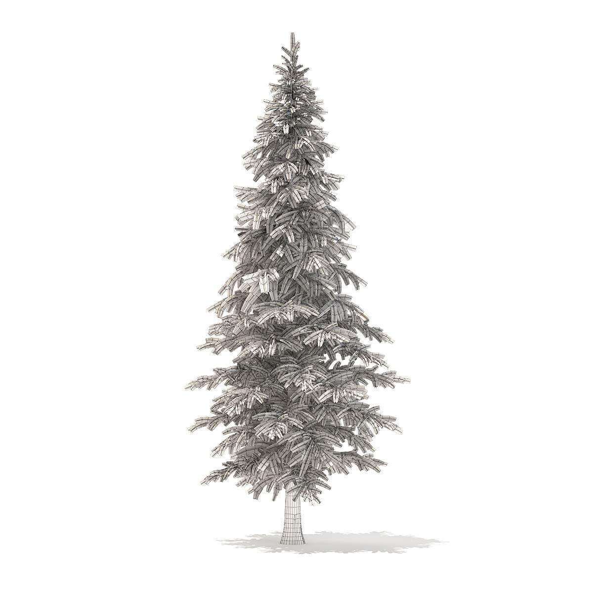 Fir Tree 4.5m - 3D Model by cgaxis