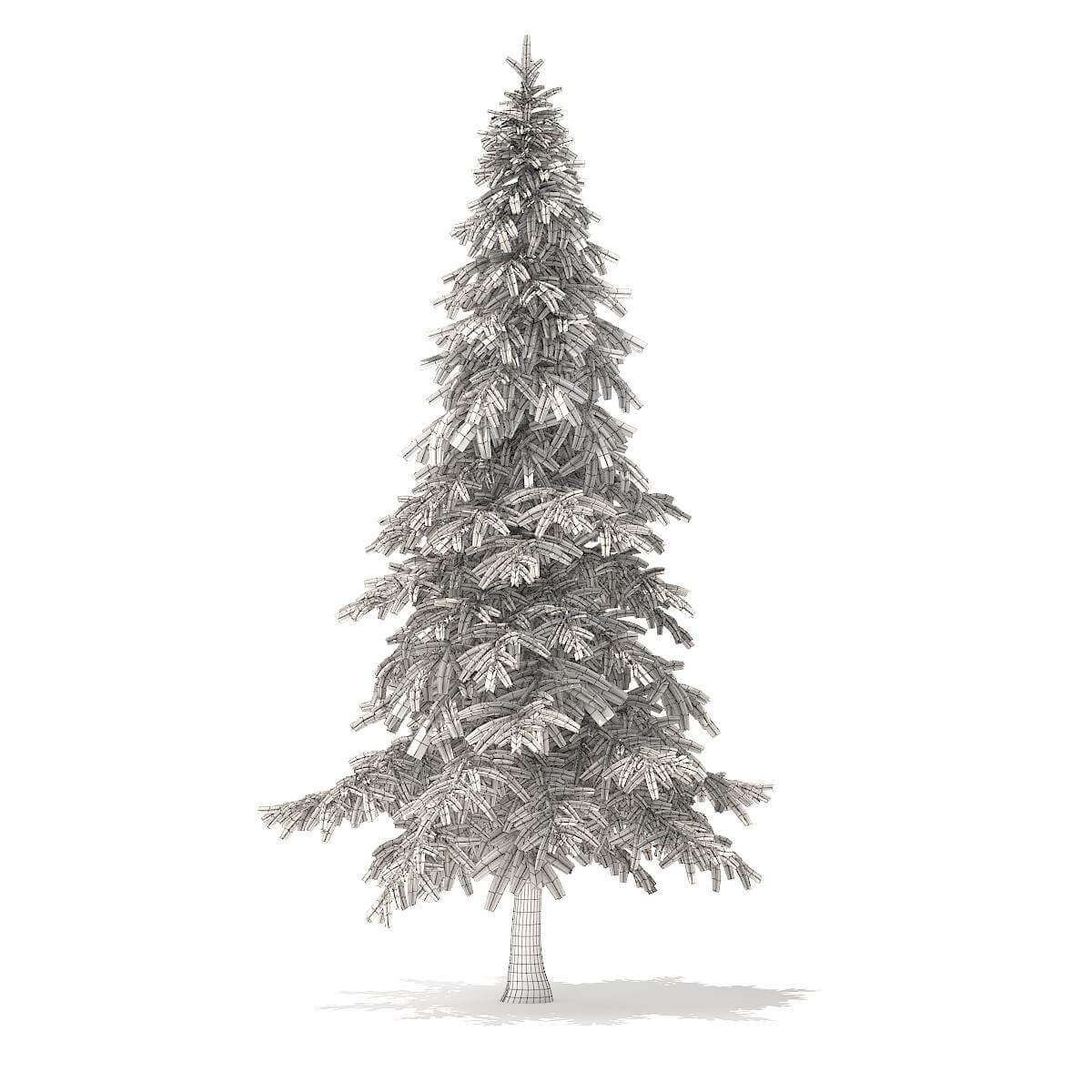 Fir Tree 5.9m - 3D Model by cgaxis