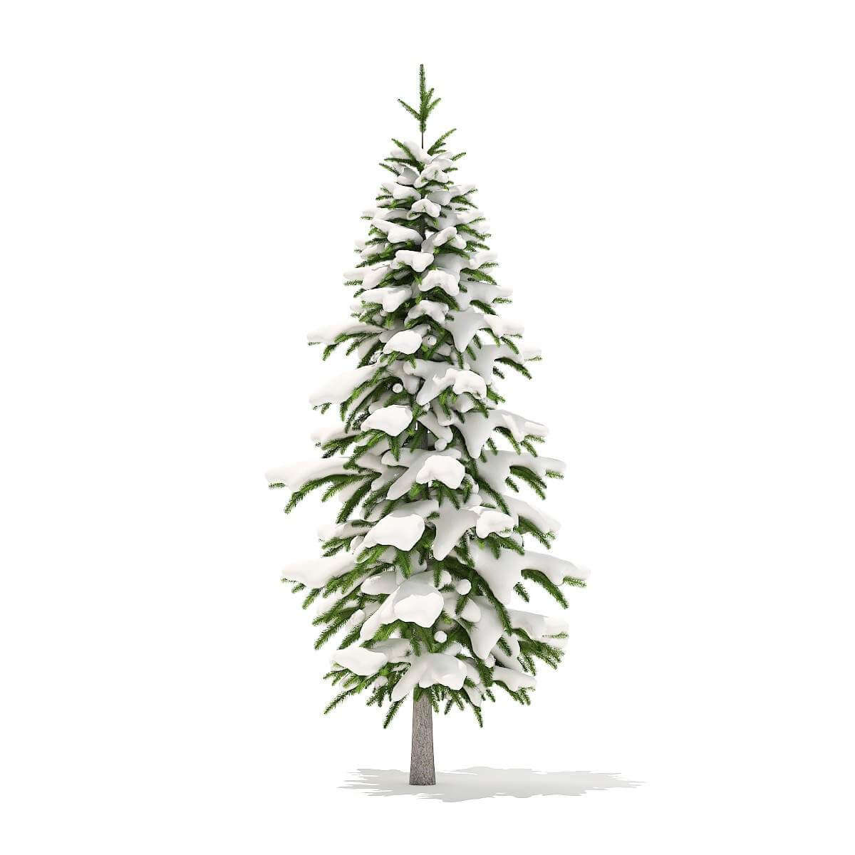 Fir Tree with Snow 2.6m - 3D Model by cgaxis