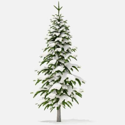 Fir Tree with Snow 2.6m - 3D Model by cgaxis