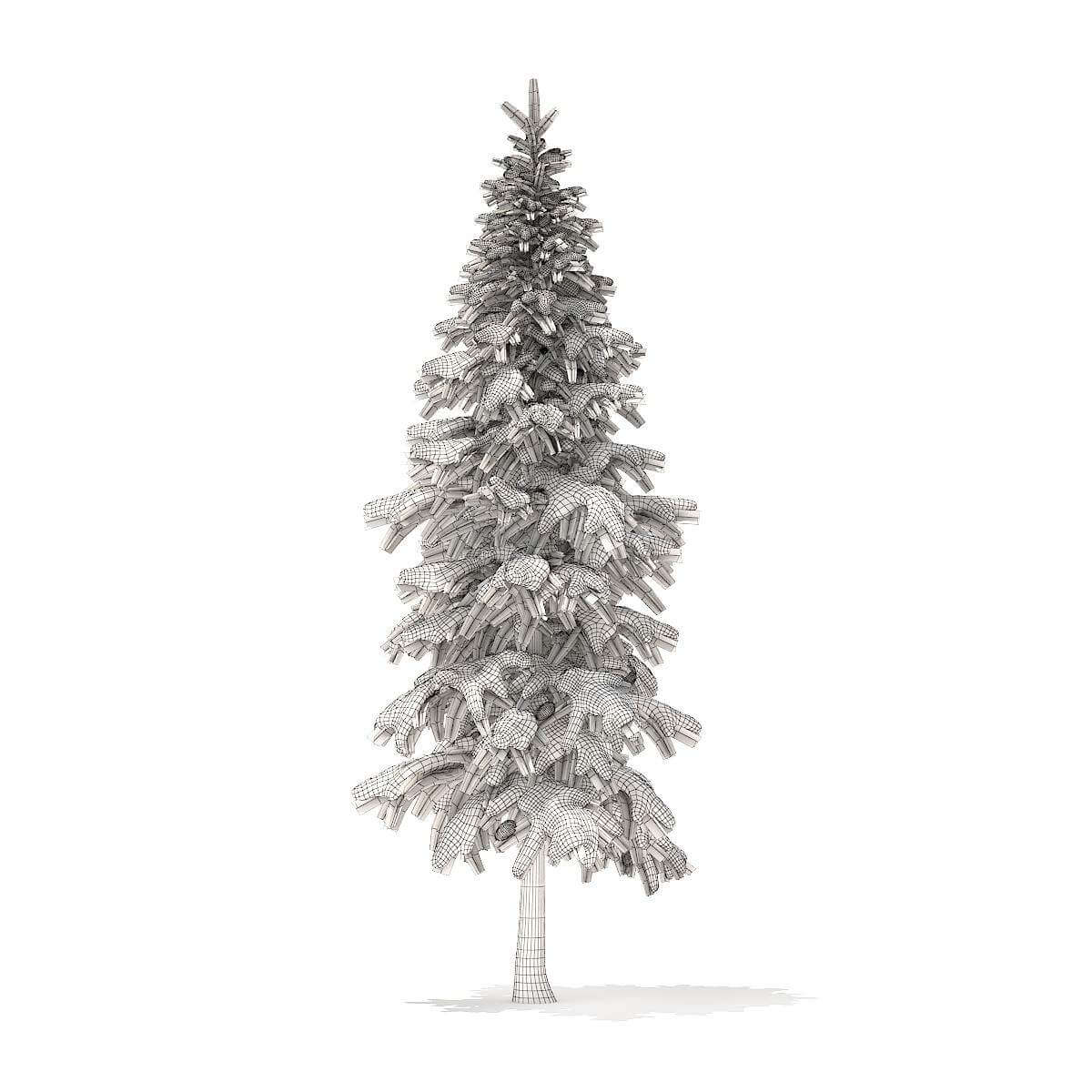 Fir Tree with Snow 3.4m - 3D Model by cgaxis
