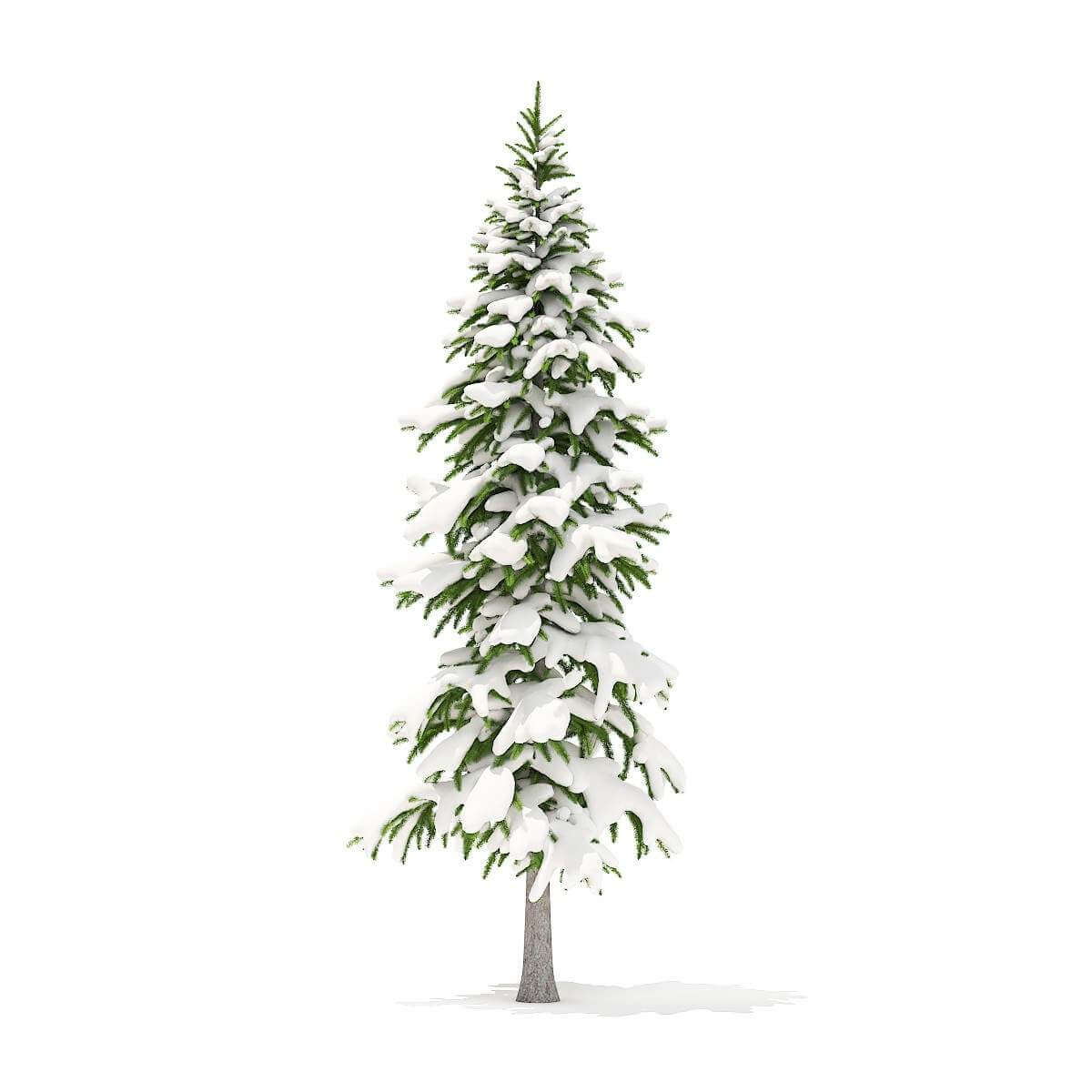 Fir Tree with Snow 3.4m - 3D Model by cgaxis