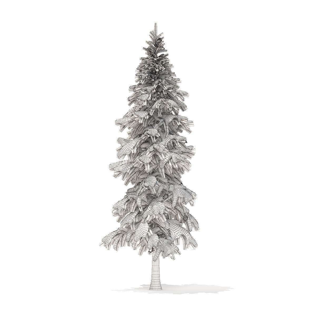 Fir Tree with Snow 3.4m - 3D Model by cgaxis