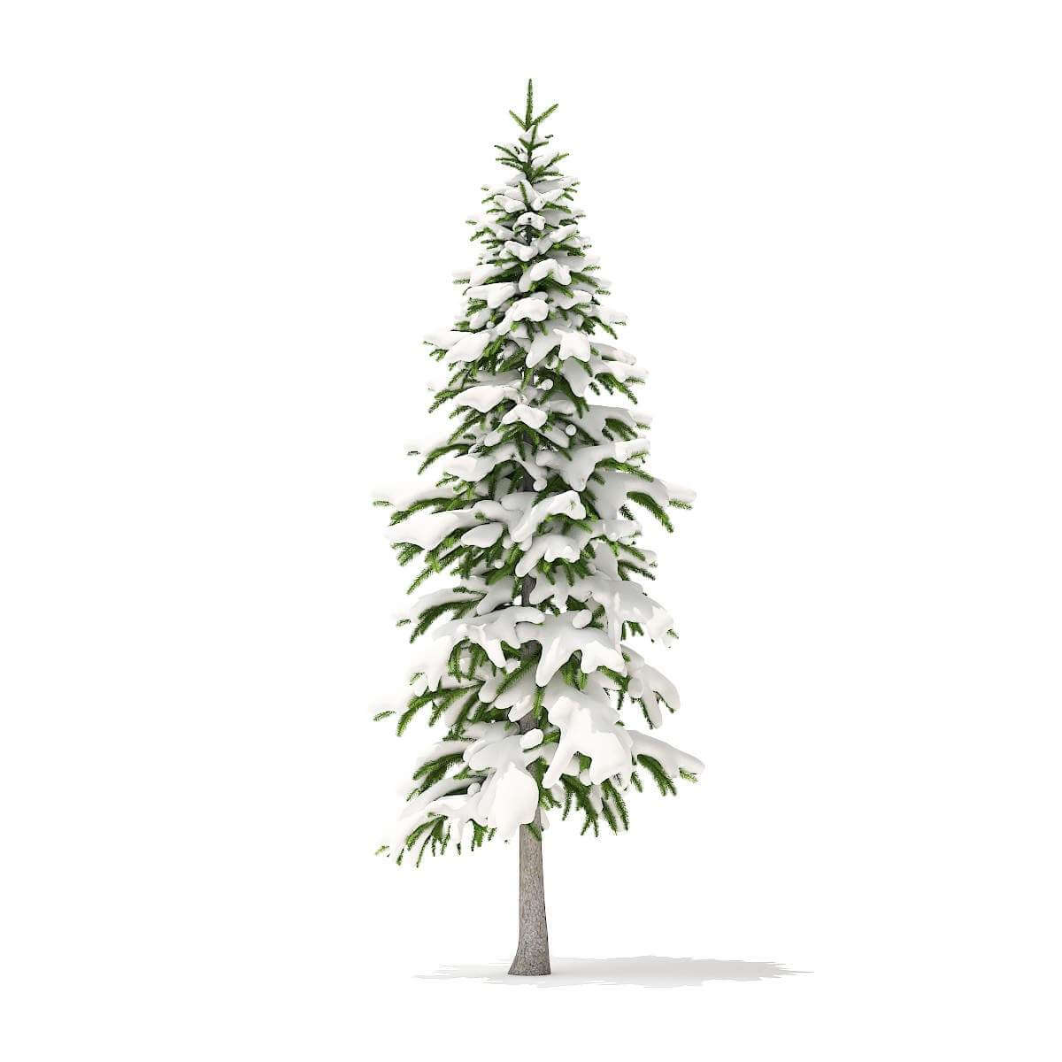 Fir Tree with Snow 3.4m - 3D Model by cgaxis