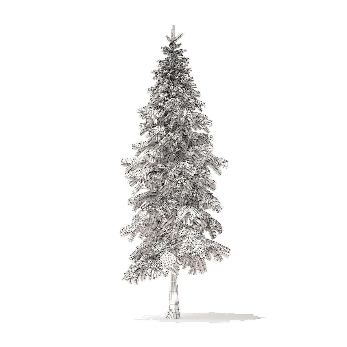 Fir Tree with Snow 3.4m - 3D Model by cgaxis