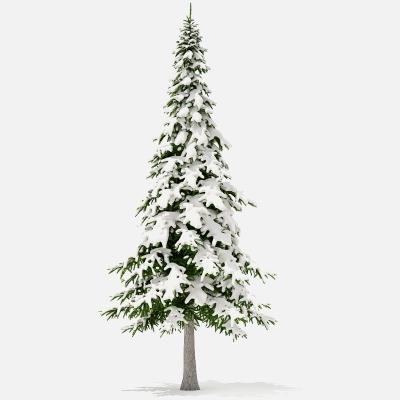 Fir Tree with Snow 7m - 3D Model by cgaxis