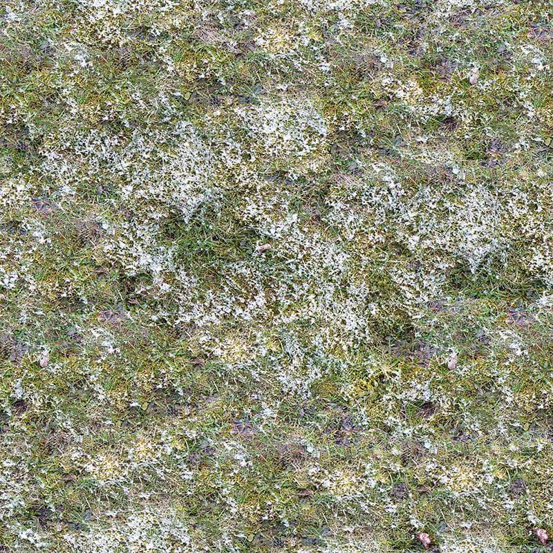 Grass with Little Snow PBR Texture by cgaxis