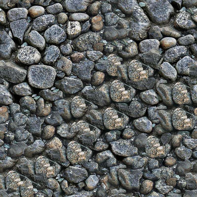 Gravel Pavement PBR Texture by cgaxis