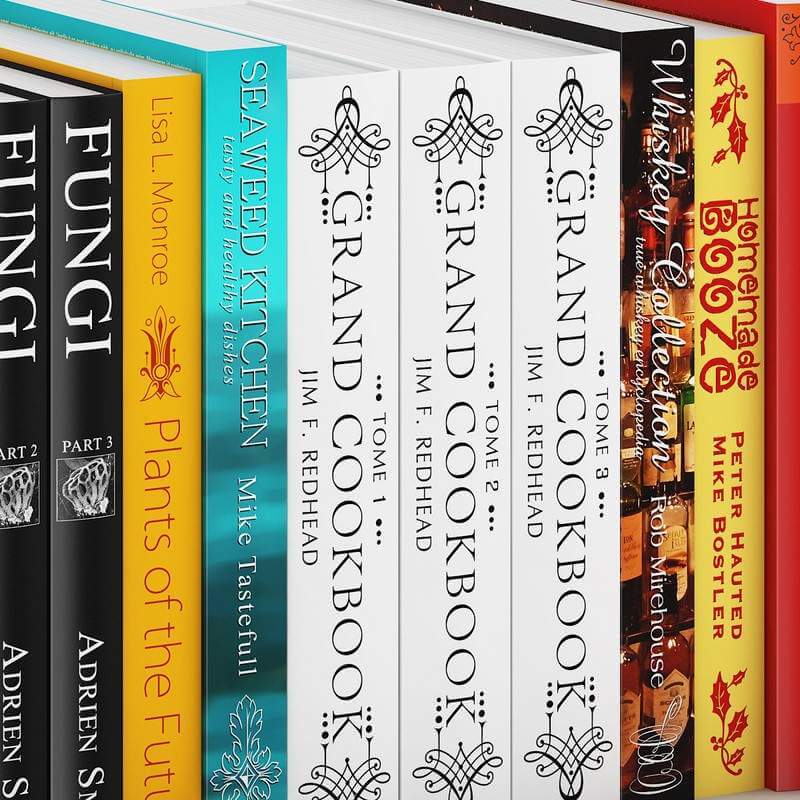 Guide Books 1 - 3D Model by cgaxis