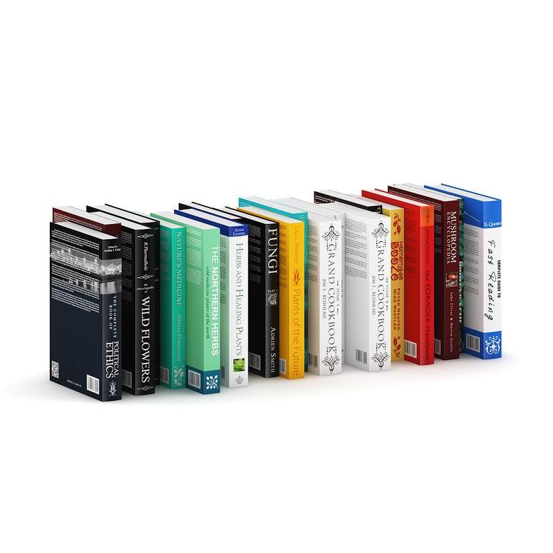 Guide Books 1 - 3D Model by cgaxis