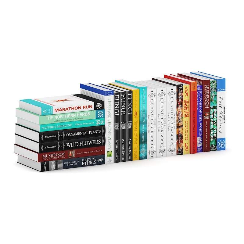Guide Books 1 - 3D Model by cgaxis