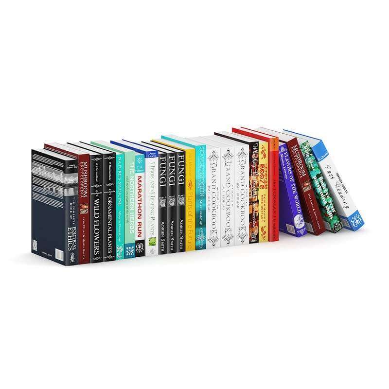 Guide Books 1 - 3D Model by cgaxis