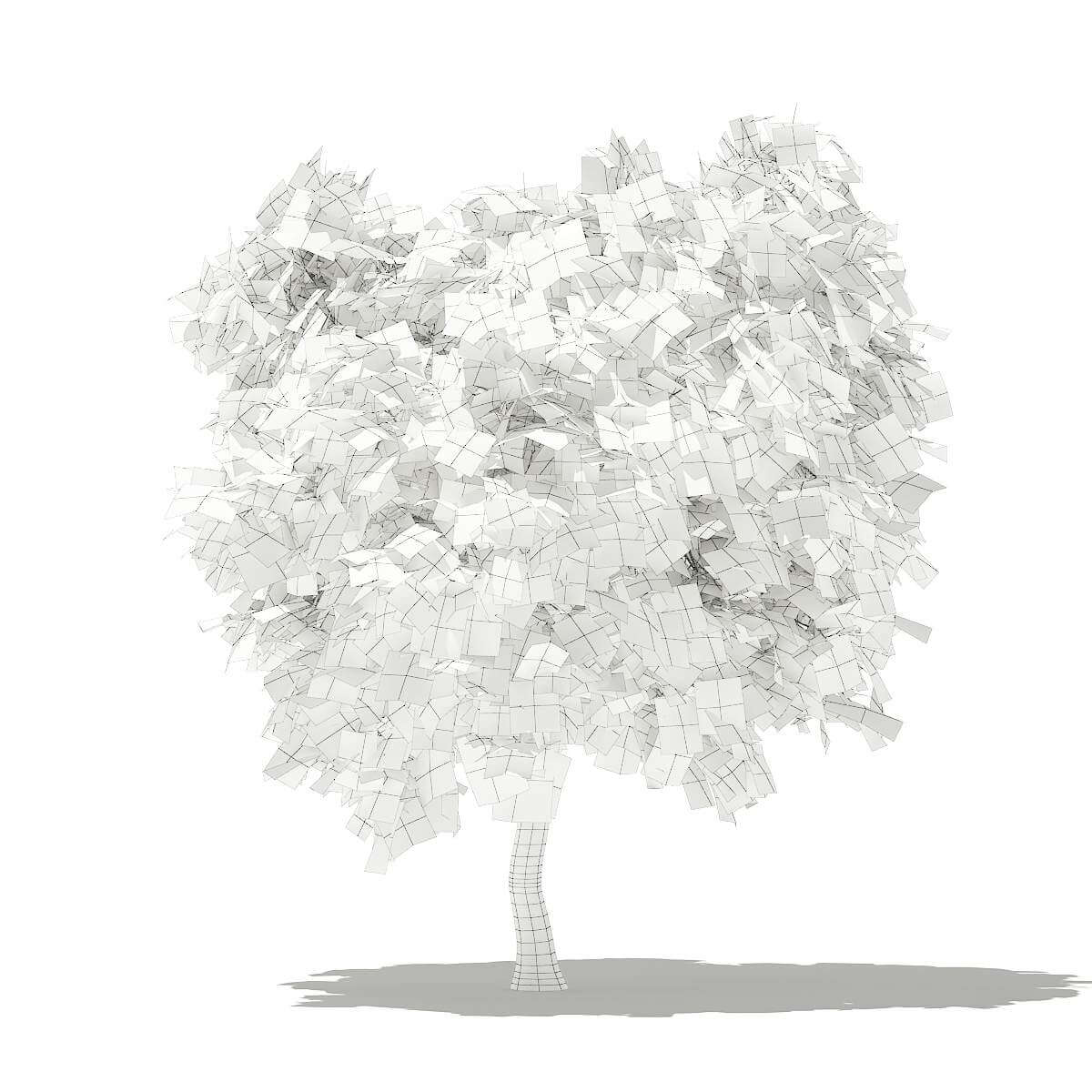 Mango Tree 2.7m - 3D Model by cgaxis