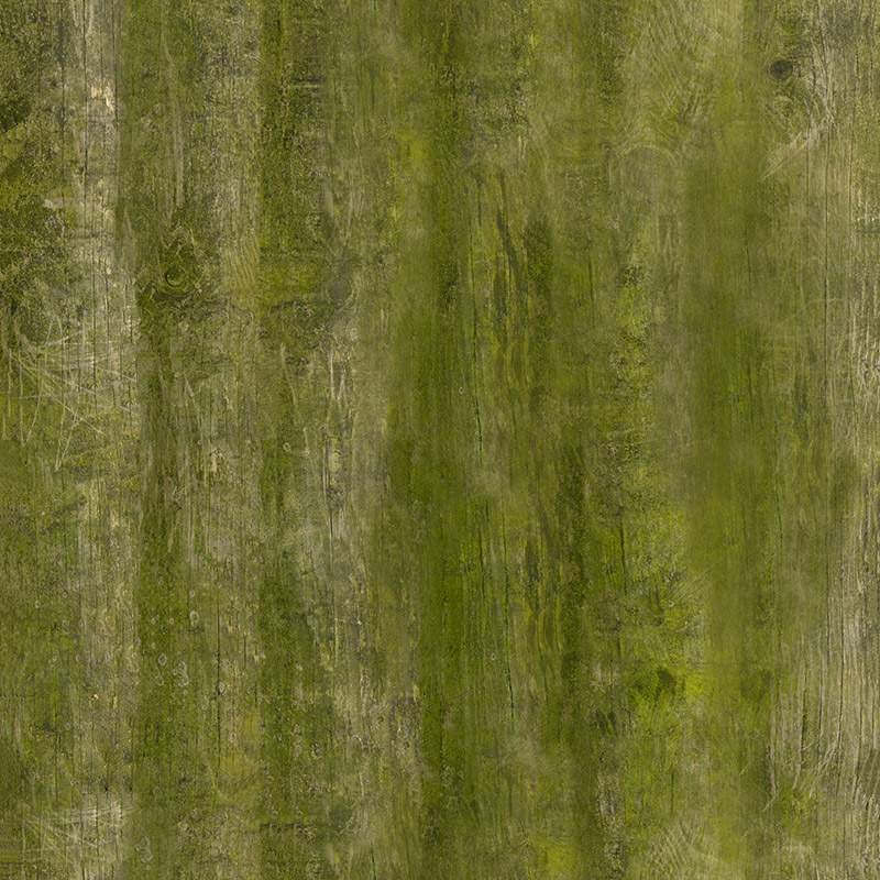 Mossy Old Wood PBR Texture by cgaxis