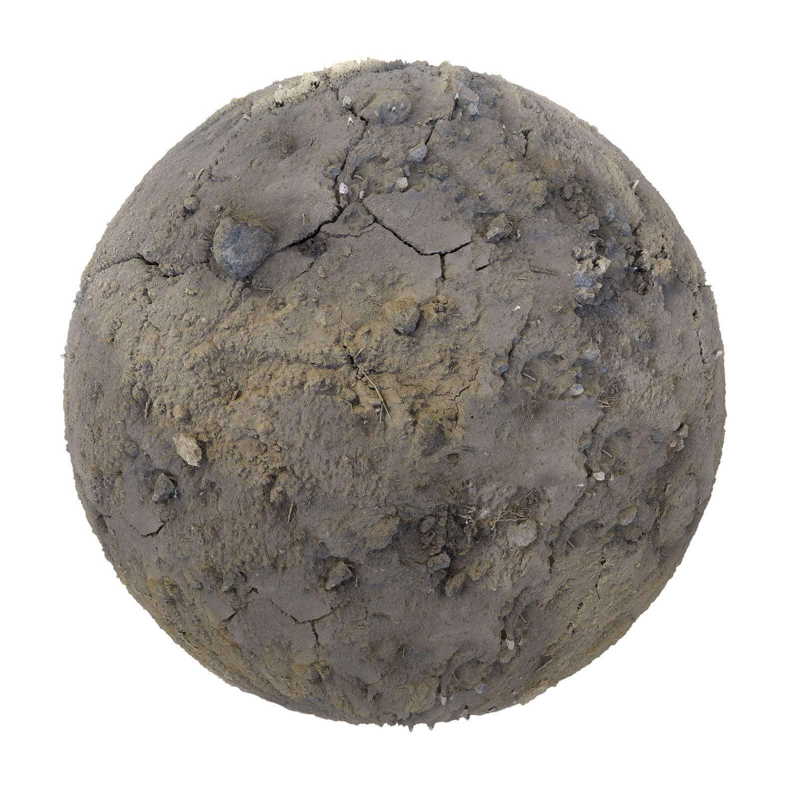 Mud with Stones PBR Texture by cgaxis