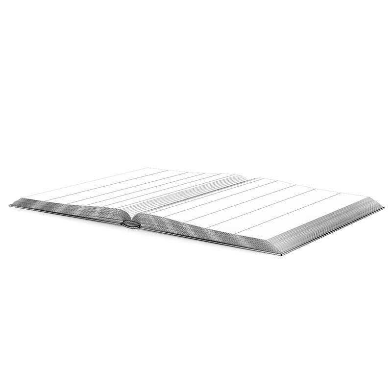 Open Book - 3D Model by cgaxis