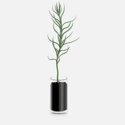 Plant in Glass Pot - 3D Model by cgaxis