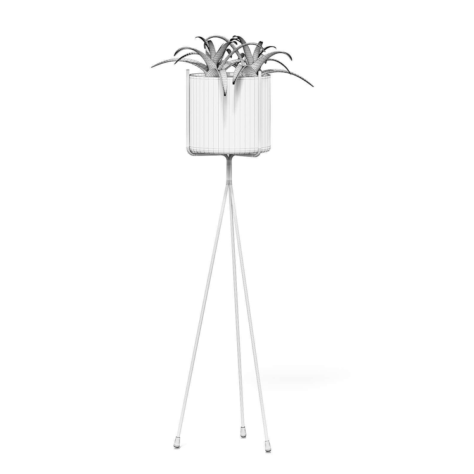 Plant on Tall Rack - 3D Model by cgaxis