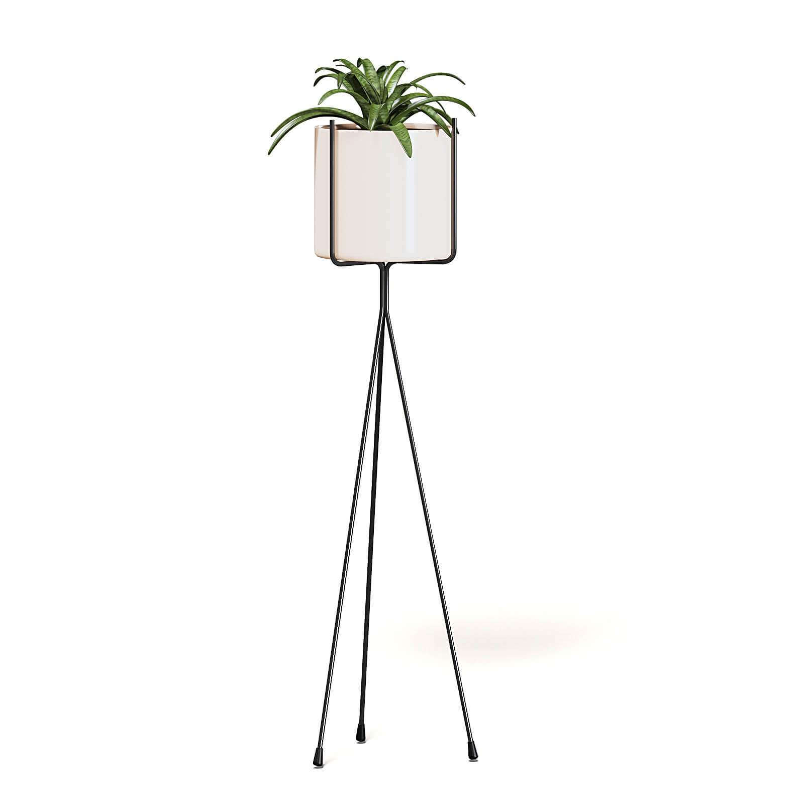 Plant on Tall Rack - 3D Model by cgaxis
