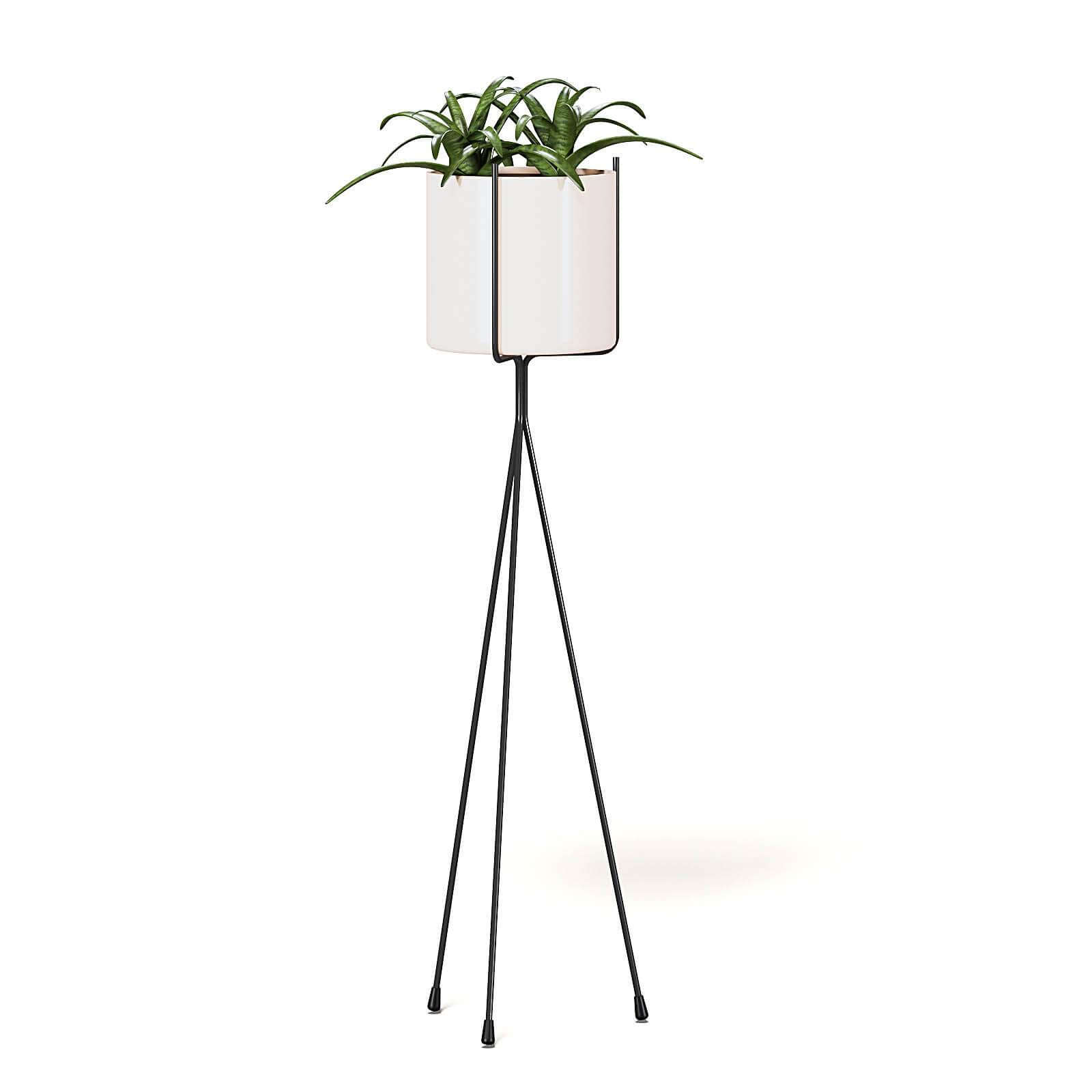 Plant on Tall Rack - 3D Model by cgaxis
