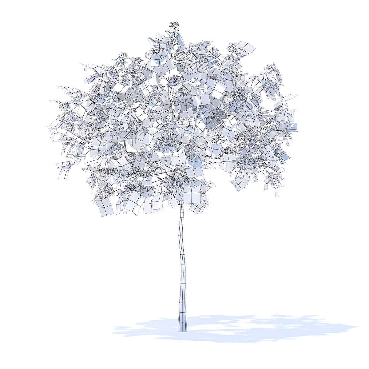 Plum Tree with Flowers 2m - 3D Model by cgaxis