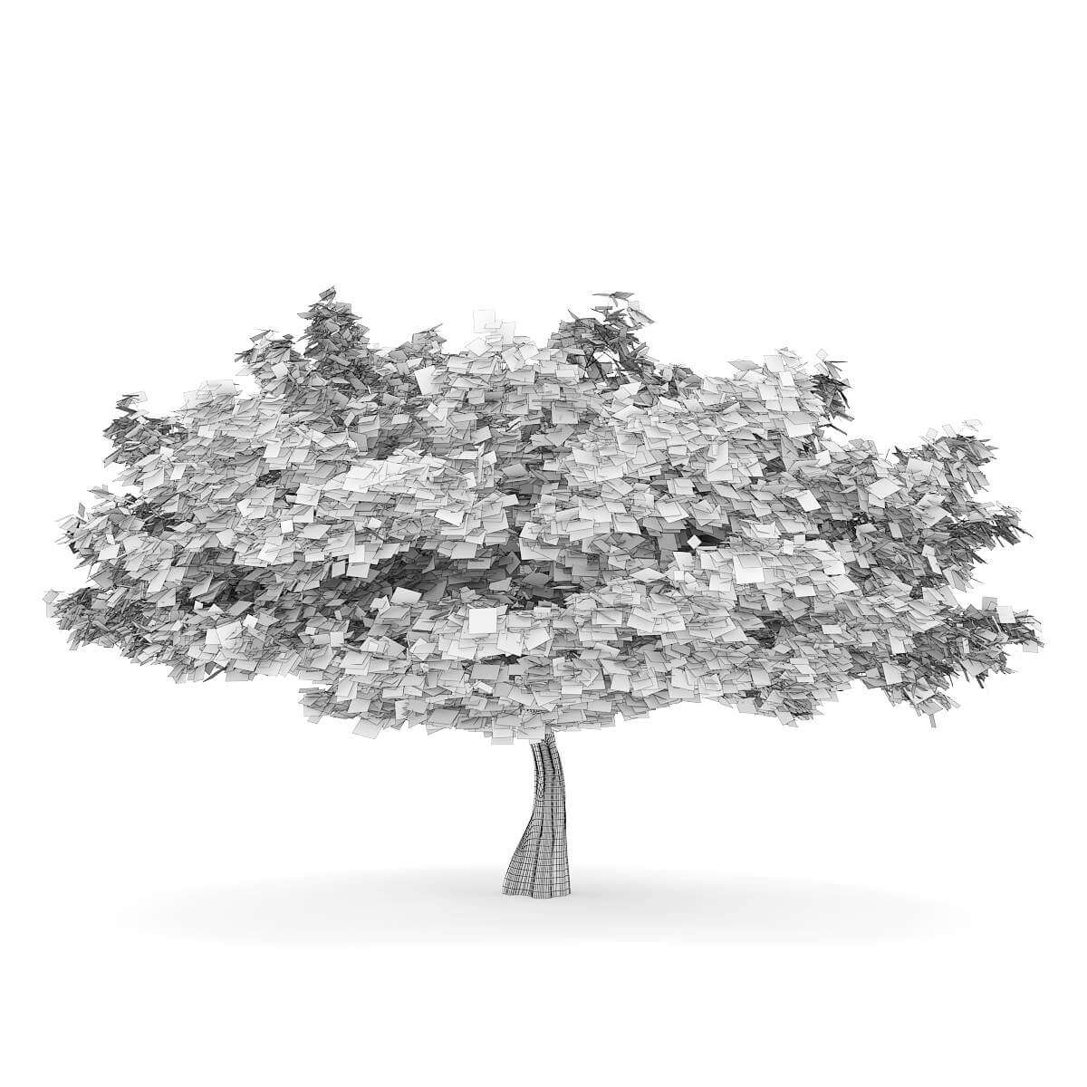 Red Maple 1 (Acer Rubrum) - 3D Model by cgaxis