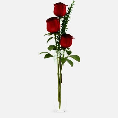 Roses in Flask - 3D Model by cgaxis