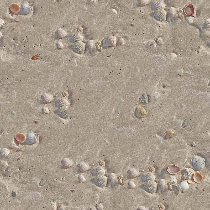 Sand with Shells PBR Texture by cgaxis