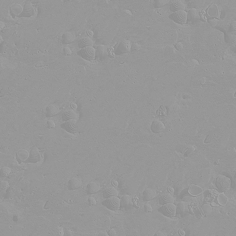 Sand with Shells PBR Texture by cgaxis