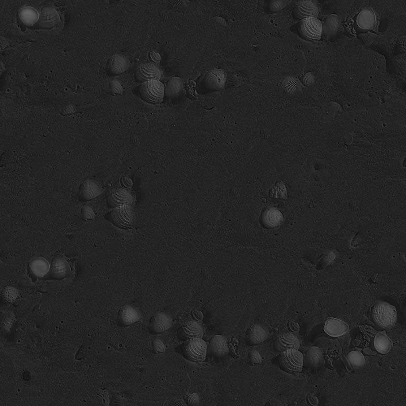 Sand with Shells PBR Texture by cgaxis