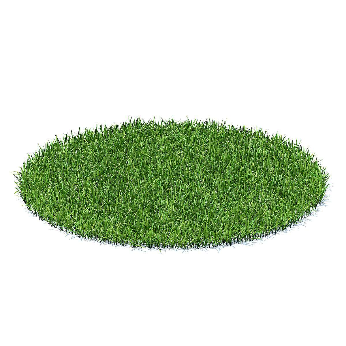 Short Grass - 3D Model by cgaxis